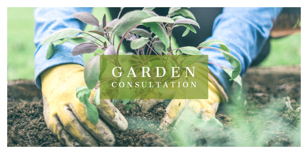 Landscaper - Chester County Landscape Design - The Gardeness